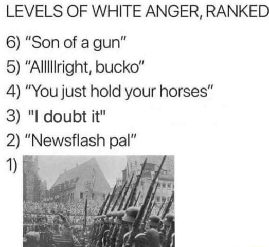 LEVELS OF WHITE ANGER, RANKED 6) "Son of a gun" 5) "Alliliright, bucko ...