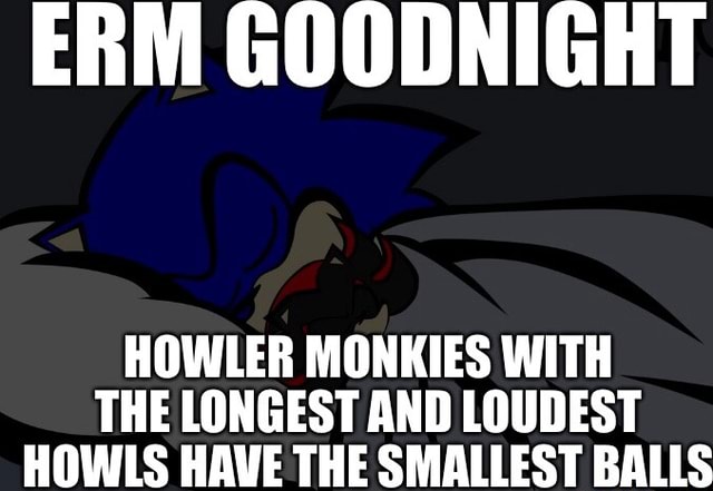 ERM GOODNIGHT HOWLER MONKIES WITH THE LONGEST AND LOUDEST HOWLS HAVE ...