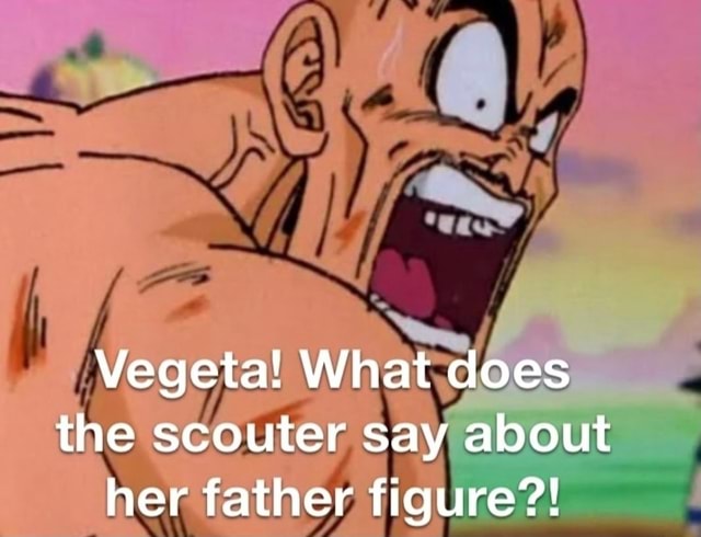 Vegeta! What does the scouter say about her father figure?! - iFunny