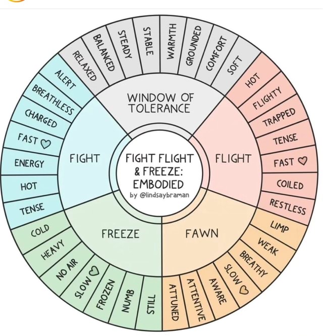 WINDOW OF TOLERANCE FIGHT FLIGHT FREEZE: EMBODIED - iFunny