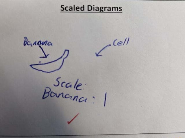 Scaled Diagrams cell Stale - iFunny