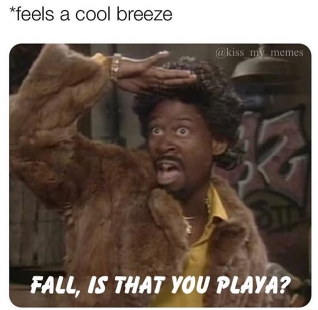 "feels a cool breeze memes FALL, IS THAT YOU PLAYA? - iFunny