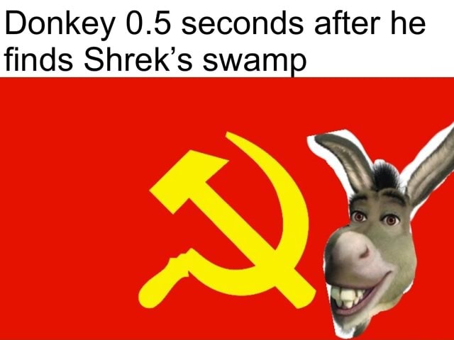 Donkey Donkey Shrek 2 Meme Generator