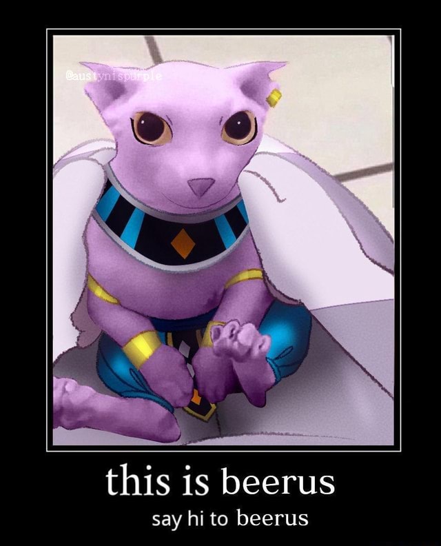 This is beerus say hi to beerus - iFunny