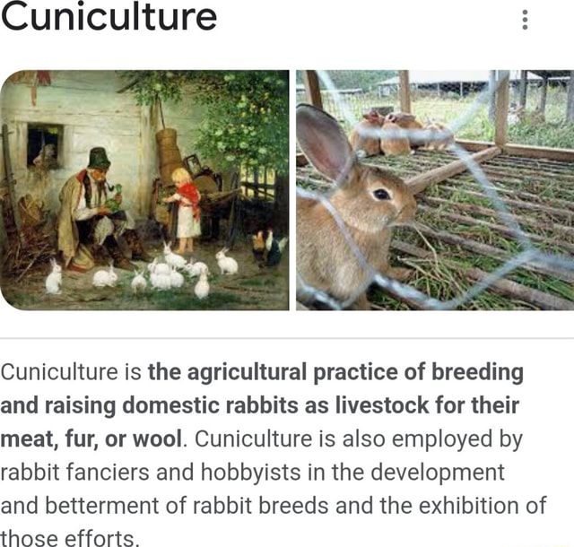 Cuniculture Cuniculture is the agricultural practice of breeding and ...
