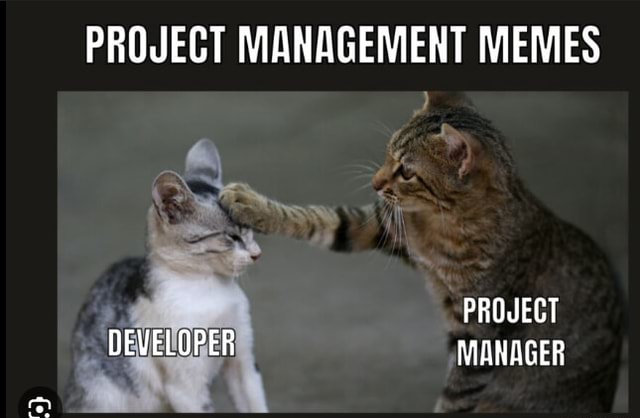 I thought the developer was the leader.. - i thought the developer was ...