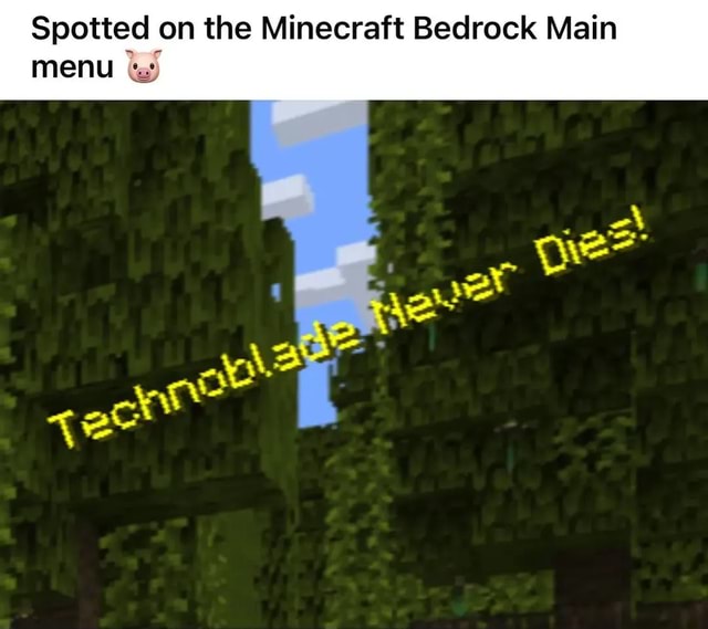 Spotted on the Minecraft Bedrock Main menu - iFunny