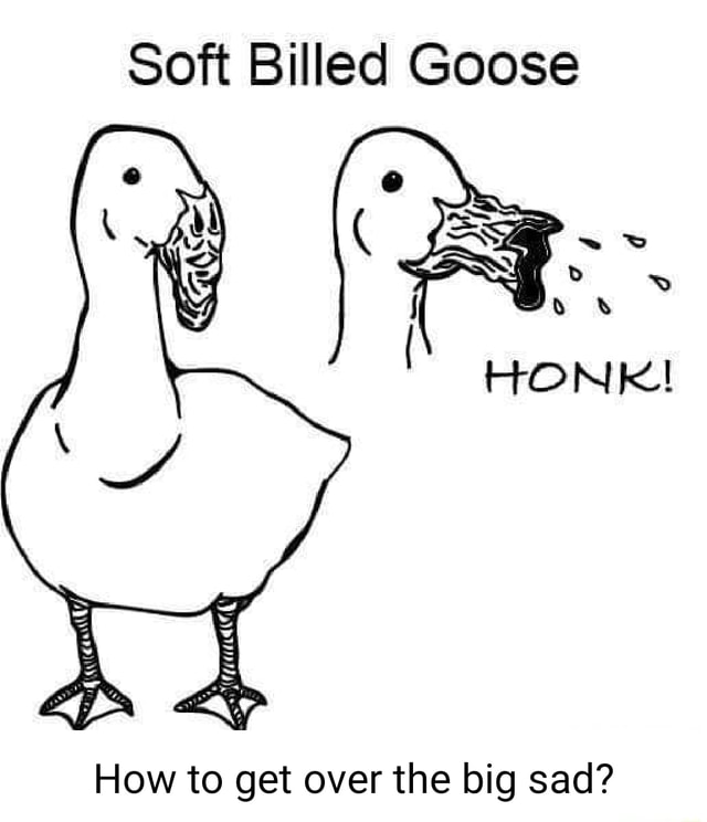 Soft Billed Goose How to get over the big sad? - iFunny