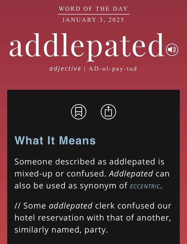 WORD OF THE DAY JANUARY 3, 2025 addlepatede adjective I pas What It ...