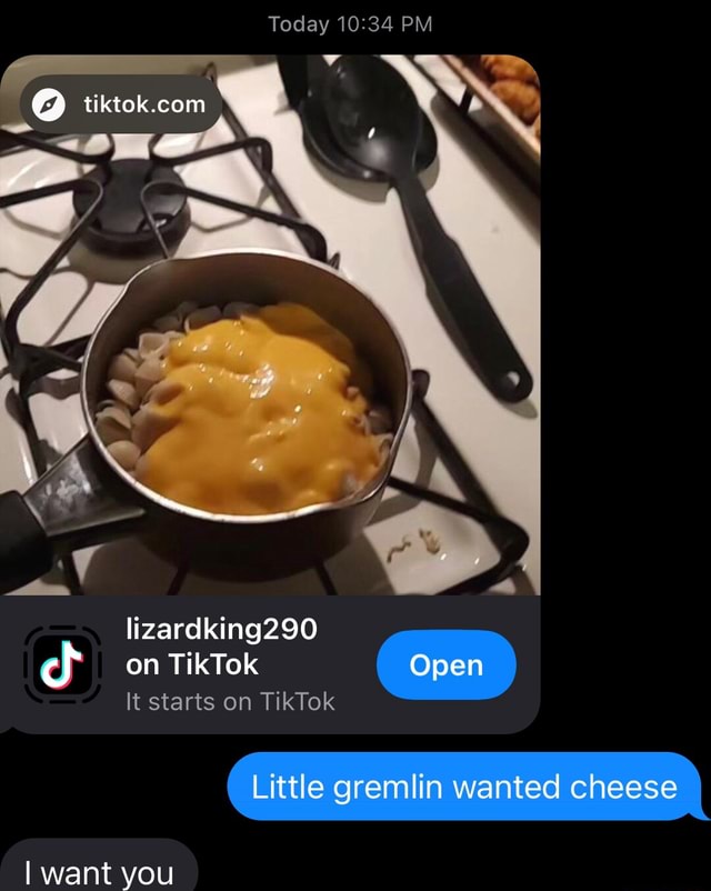 Today PM tiktok. lizardking290 on TikTok It starts on TikTok Little gremlin wanted cheese I want ...