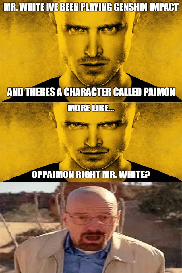 MR. WHITE BEEN PLAYING GENSHIN IMPACT AND THERES A CHARACTER CALLED ...