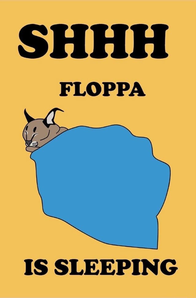 SHHH FLOPPA IS SLEEPING - iFunny