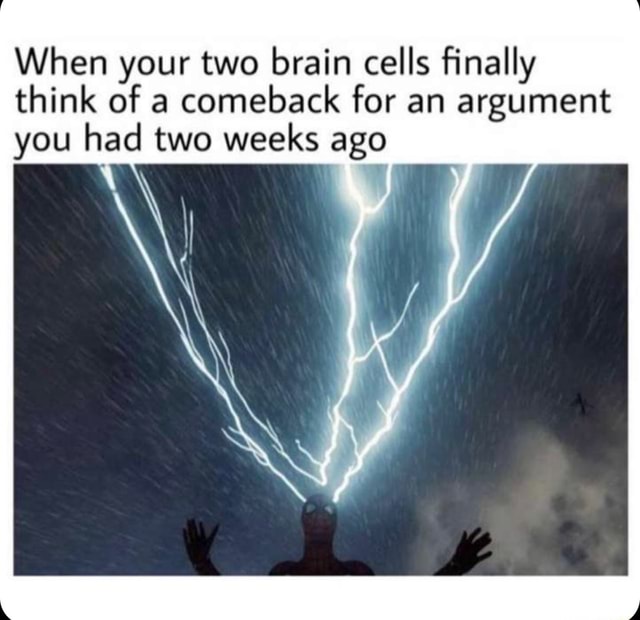 When your two brain cells finally think of a comeback for an argument I ...