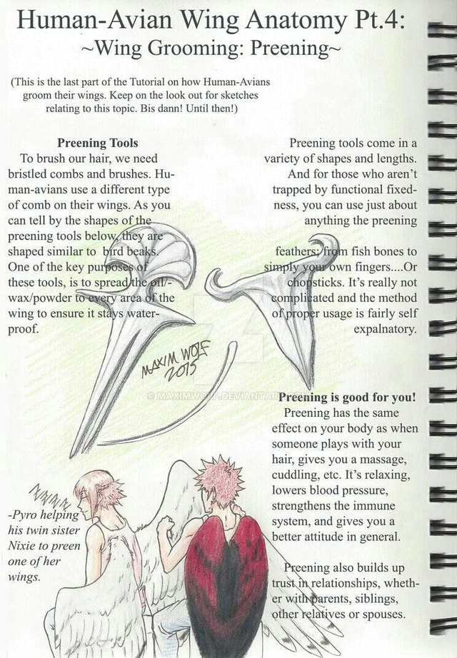 Human-Avian Wing Anatomy Pt.4: ~Wing Grooming: Preening~ (This is lhe ...