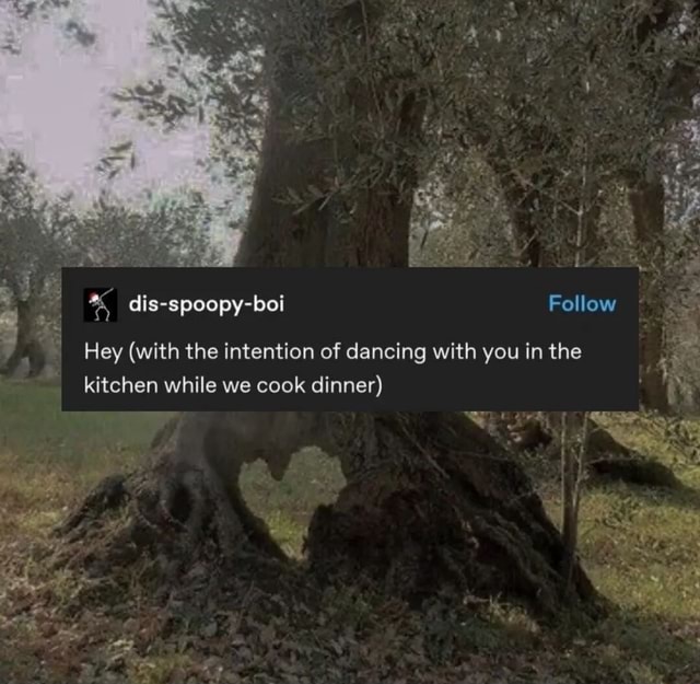 Dis-spoopy-boi Follow Hey (with the intention of dancing with you in ...