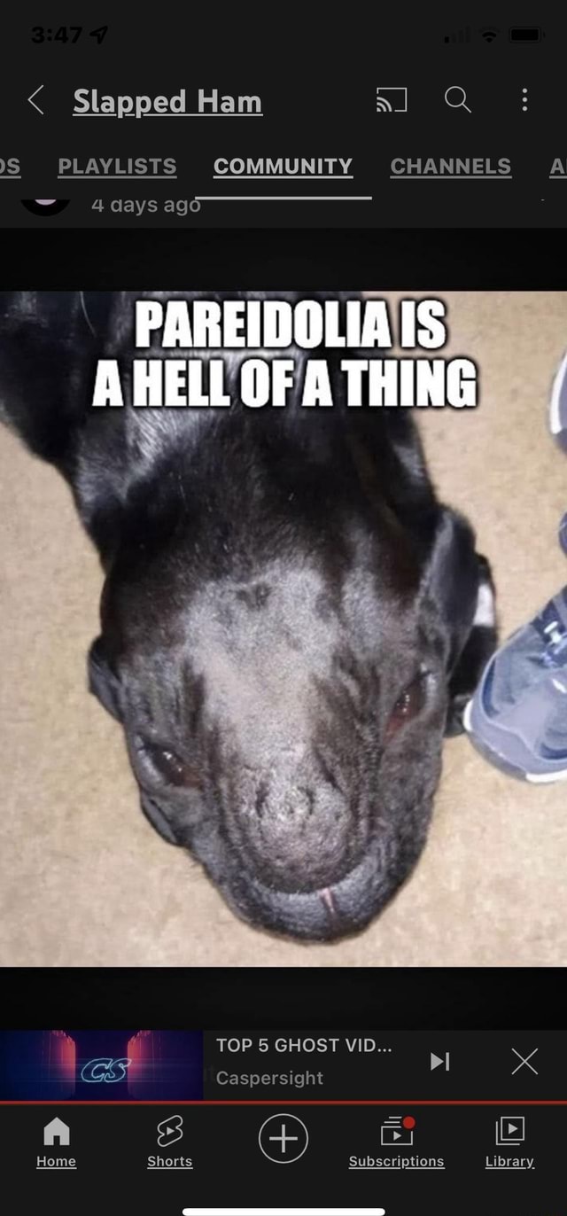 Star Trek memes and beyond.