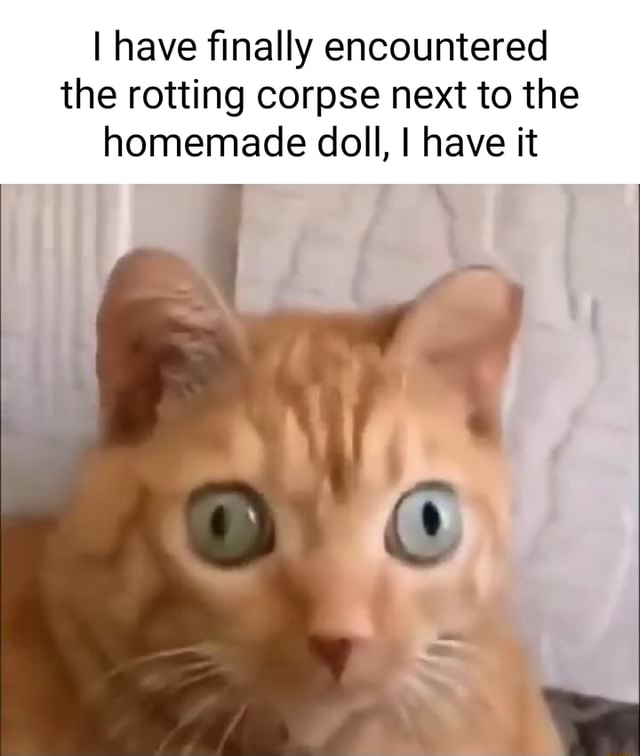 I have finally encountered the rotting corpse next to the homemade doll ...