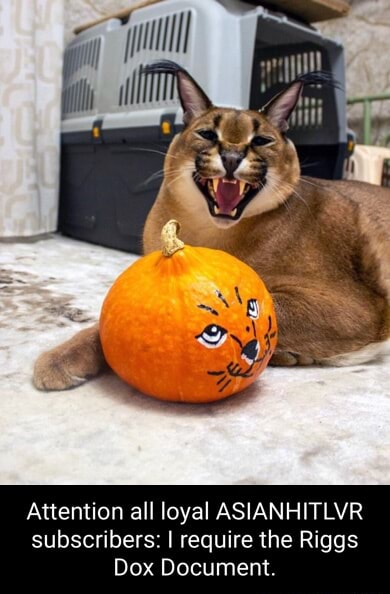Attention all loyal ASIANHITLVR subscribers: I I require the Riggs Dox ...