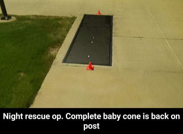 Night rescue op. Complete baby cone is back on post - Night rescue op ...