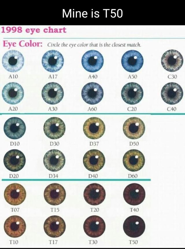 Mine is 1998 eye chart Fy Color: Circle the eye color that is the ...
