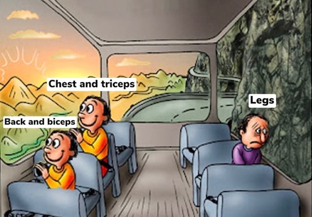 Chest and triceps Back and biceps - iFunny