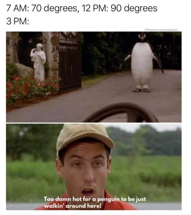 7 AM: 70 degrees, 12 PM: 90 degrees PM: Too damn hot for a penguin to ...