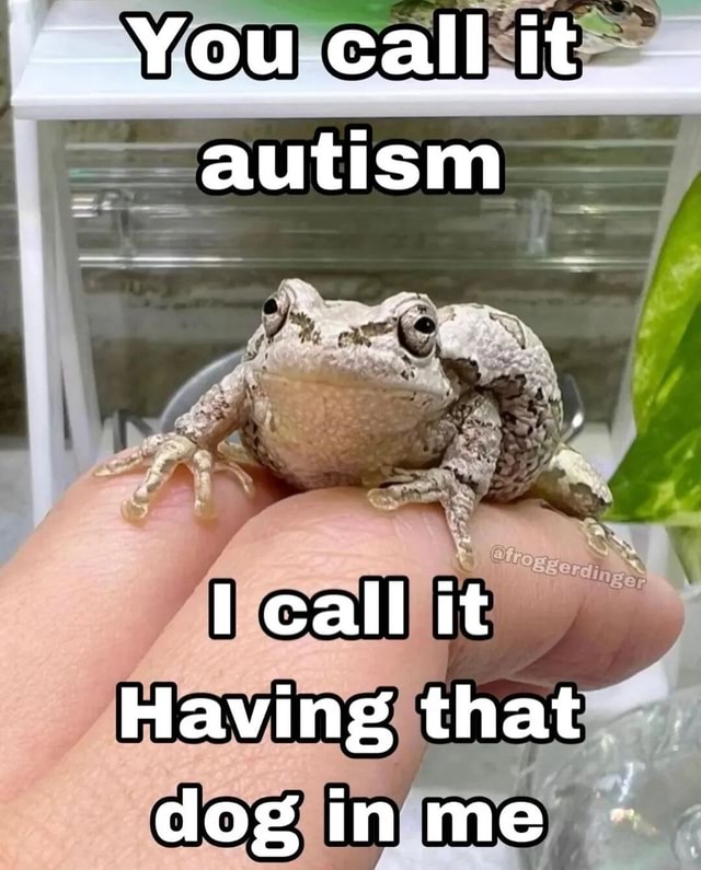 --You call it___ autism call it Having that dog in me - iFunny