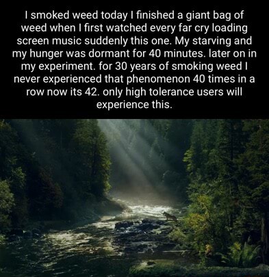 I smoked weed today I finished a giant bag of weed when I first watched ...