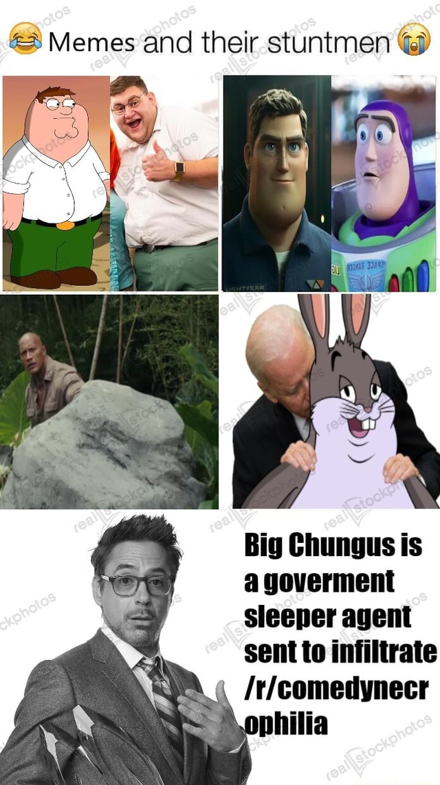 Memes and their stuntmen Big Chungus is a goverment sleeper agent sent ...
