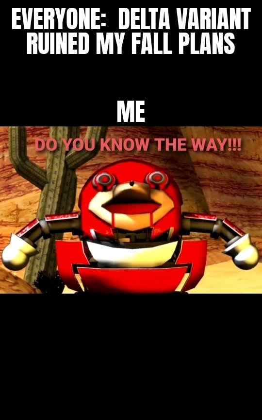 EVERYONE: DELTA VARIANT RUINED MY FALL PLANS KNOW THE WAY!!! - iFunny