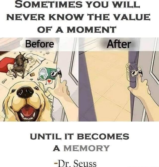 SOMETIMES YOU WILL NEVER KNOW THE VALUE OF A MOMENT UNTIL IT BECOMES A ...