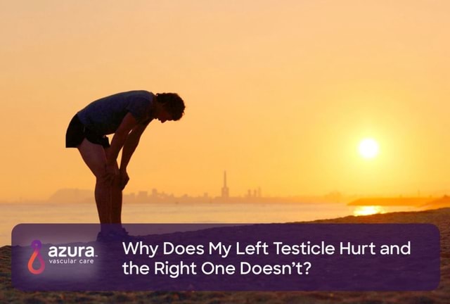 Azura. Why Does My Left Testicle Hurt and vascular care the Right One ...