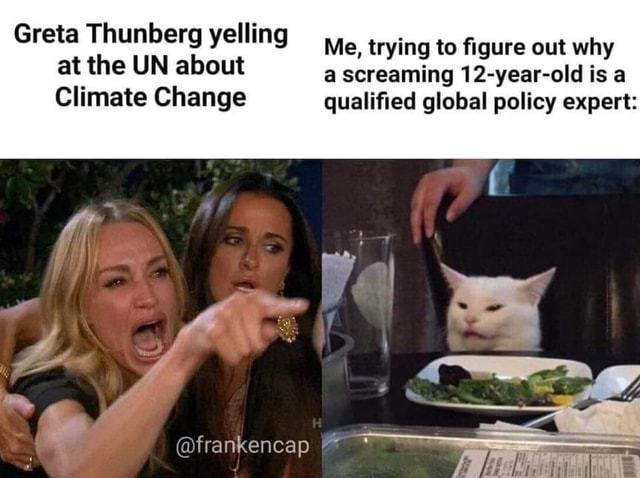 Greta Thunberg yelling Me, trying to figure out why at the UN about a ...
