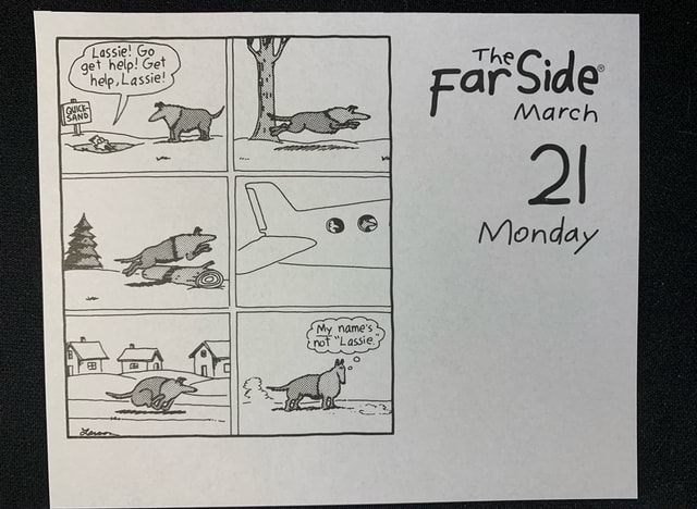 Lassie! Go get help! Get help, Lassie! The Side March Monday - iFunny
