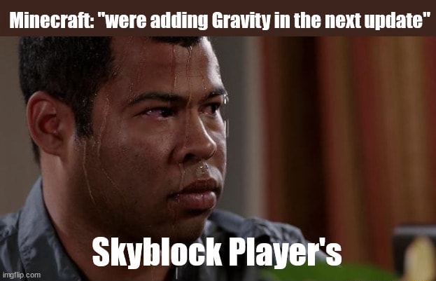 Minecraft: "were adding Gravity in the next update" Skvblock Plaver's ...
