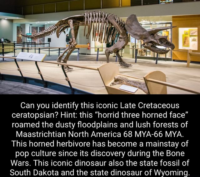 Can you identify this iconic Late Cretaceous ceratopsian? Hint: this ...
