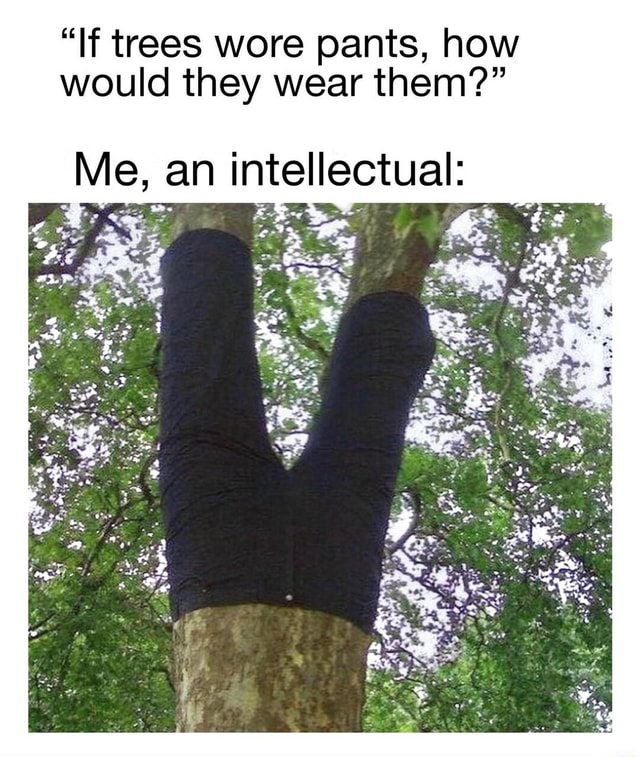"If trees wore pants, how would they wear them?" Me, an intellectual ...