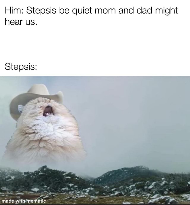 Him: Stepsis be quiet mom and dad might hear us. Stepsis: - iFunny