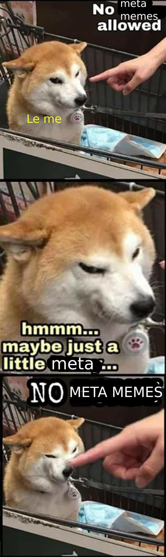Meta No memes te allowed Le me maybe} just ey little meta NO META MEMES ...