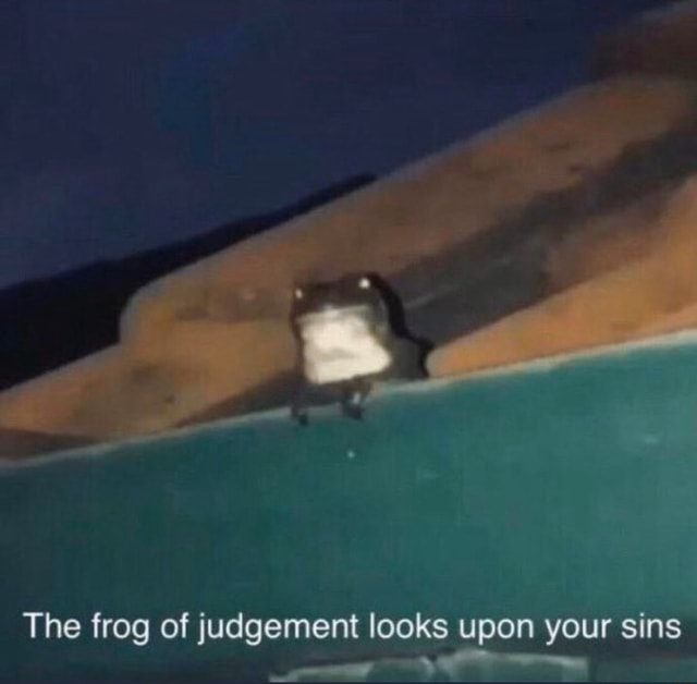 The frog of judgement looks upon your sins - iFunny