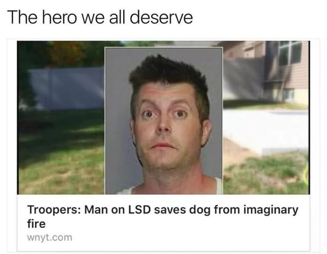 The hero we all deserve Troopers: Man on LSD saves dog from imaginary ...