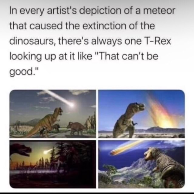 In every artist's depiction of a meteor that caused the extinction of ...