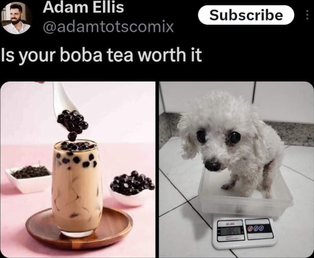 Adam Ellis @p @adamtotscomix Is your boba tea worth it - iFunny