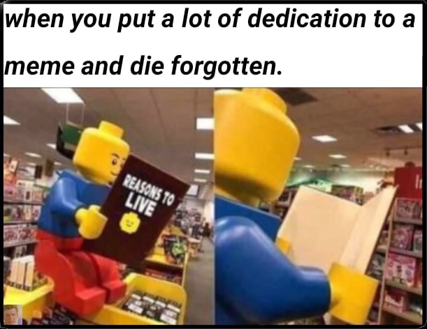 When you put a lot of dedication to a meme and die forgotten. - iFunny