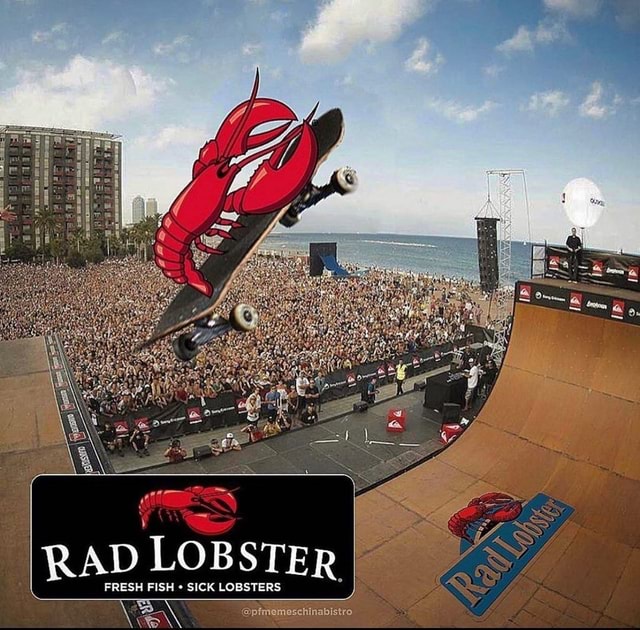 RAD LOBSTER FRESH FISH SICK LOBSTERS - iFunny