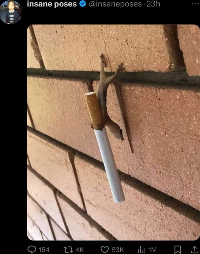 Insane poses @insaneposes- - iFunny