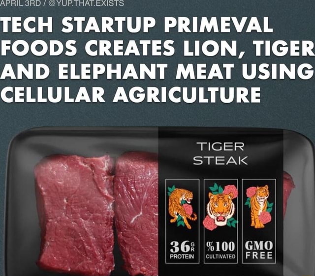 TECH STARTUP PRIMEVAL FOODS CREATES LION, TIGER AND ELEPHANT MEAT USING ...