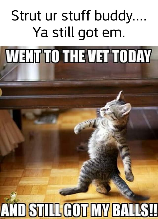 Strut ur stuff buddy... Ya still got em. WENT TO THE WET TODAY AND ...