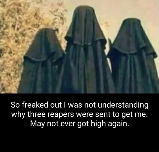 So freaked out I was not understanding why three reapers were sent to ...