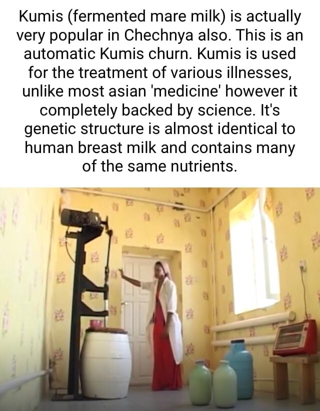 Kumis (fermented mare milk) is actually very popular in Chechnya also ...